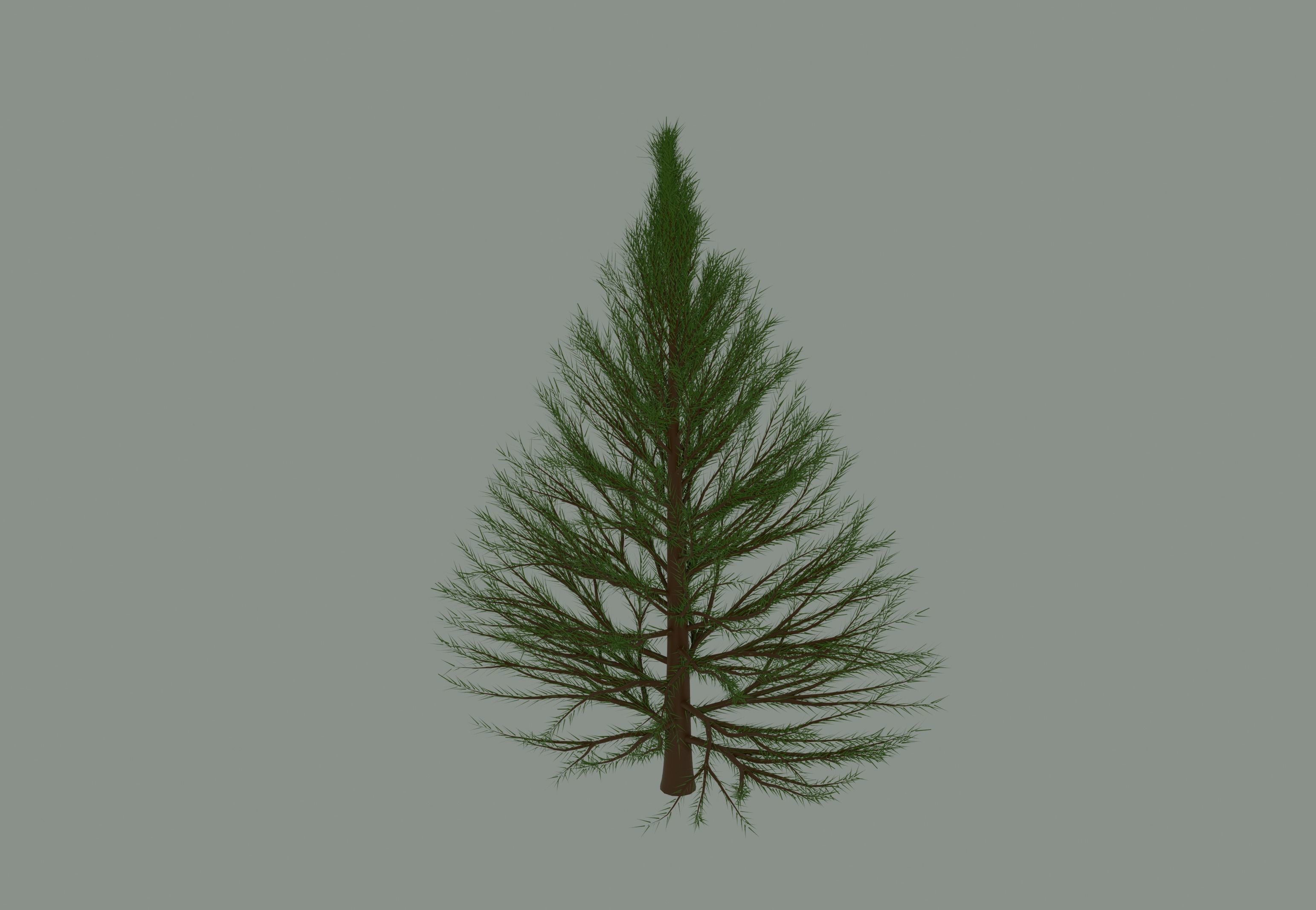 Pine Tree 3D model rigged | CGTrader