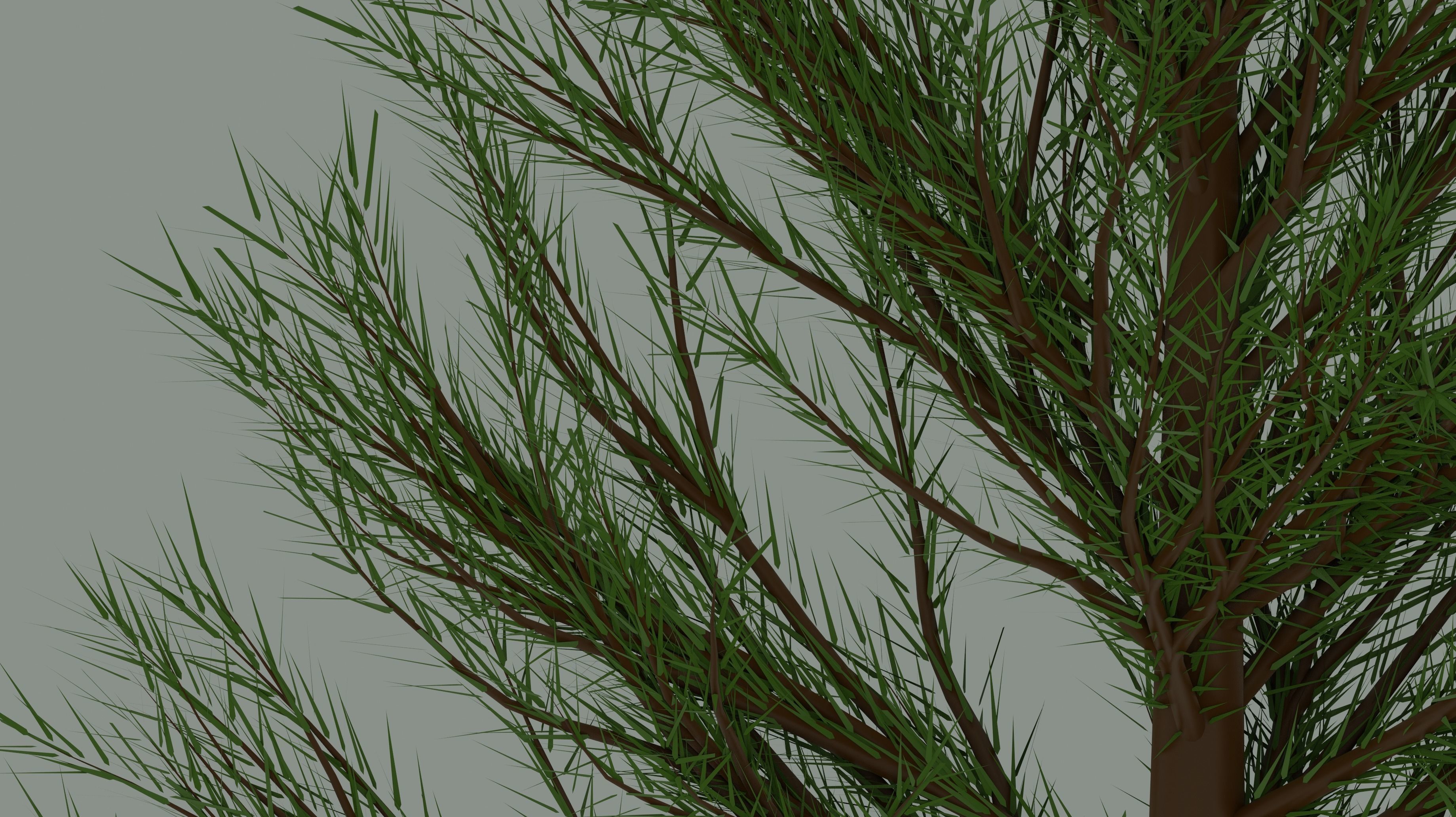 Pine Tree 3D model rigged | CGTrader