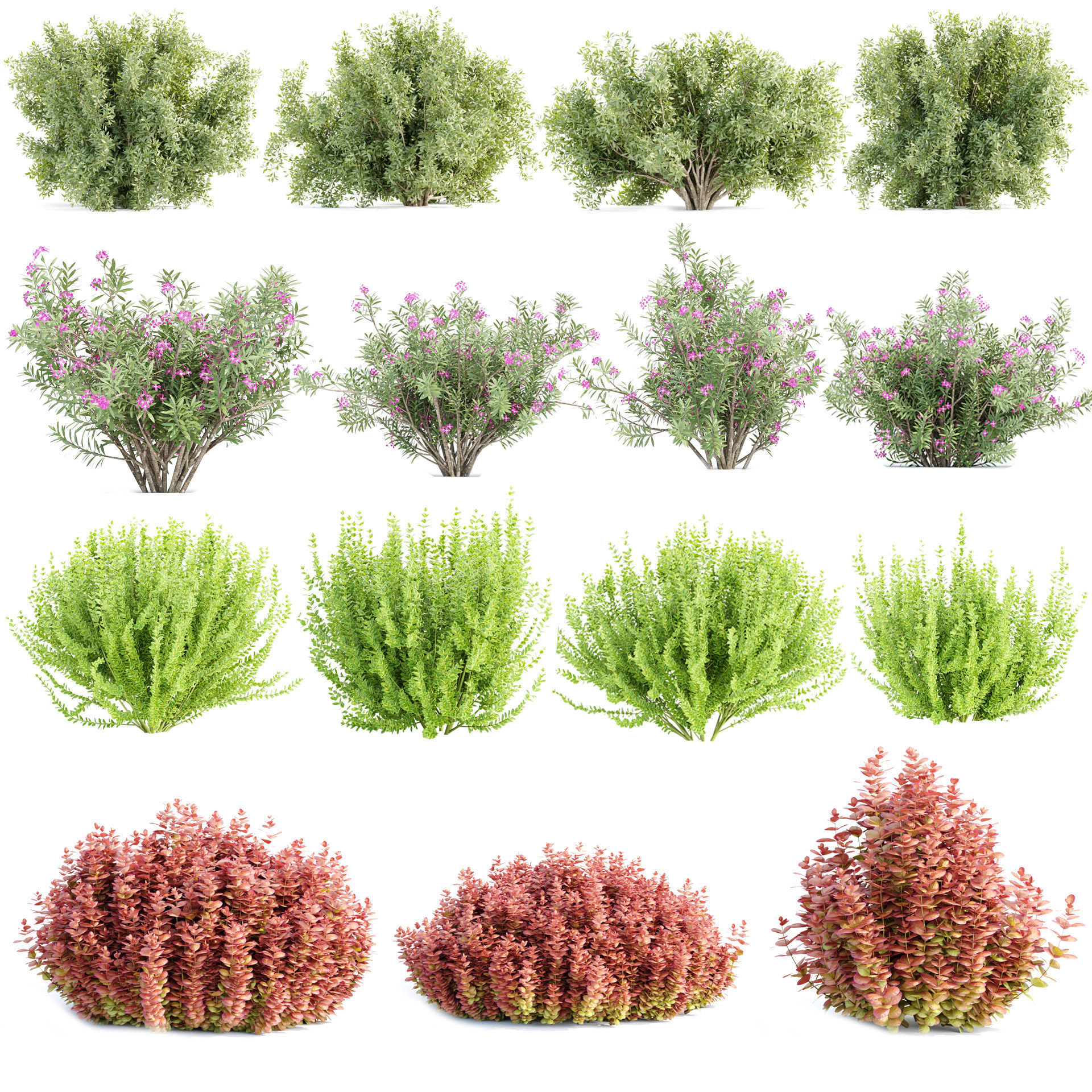 15 Bush models collection vol 15 | CGTrader