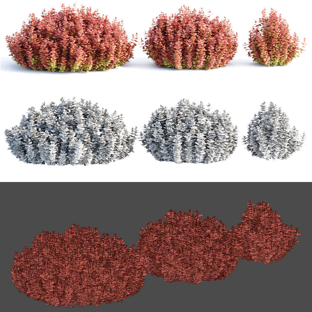 15 Bush models collection vol 15 | CGTrader