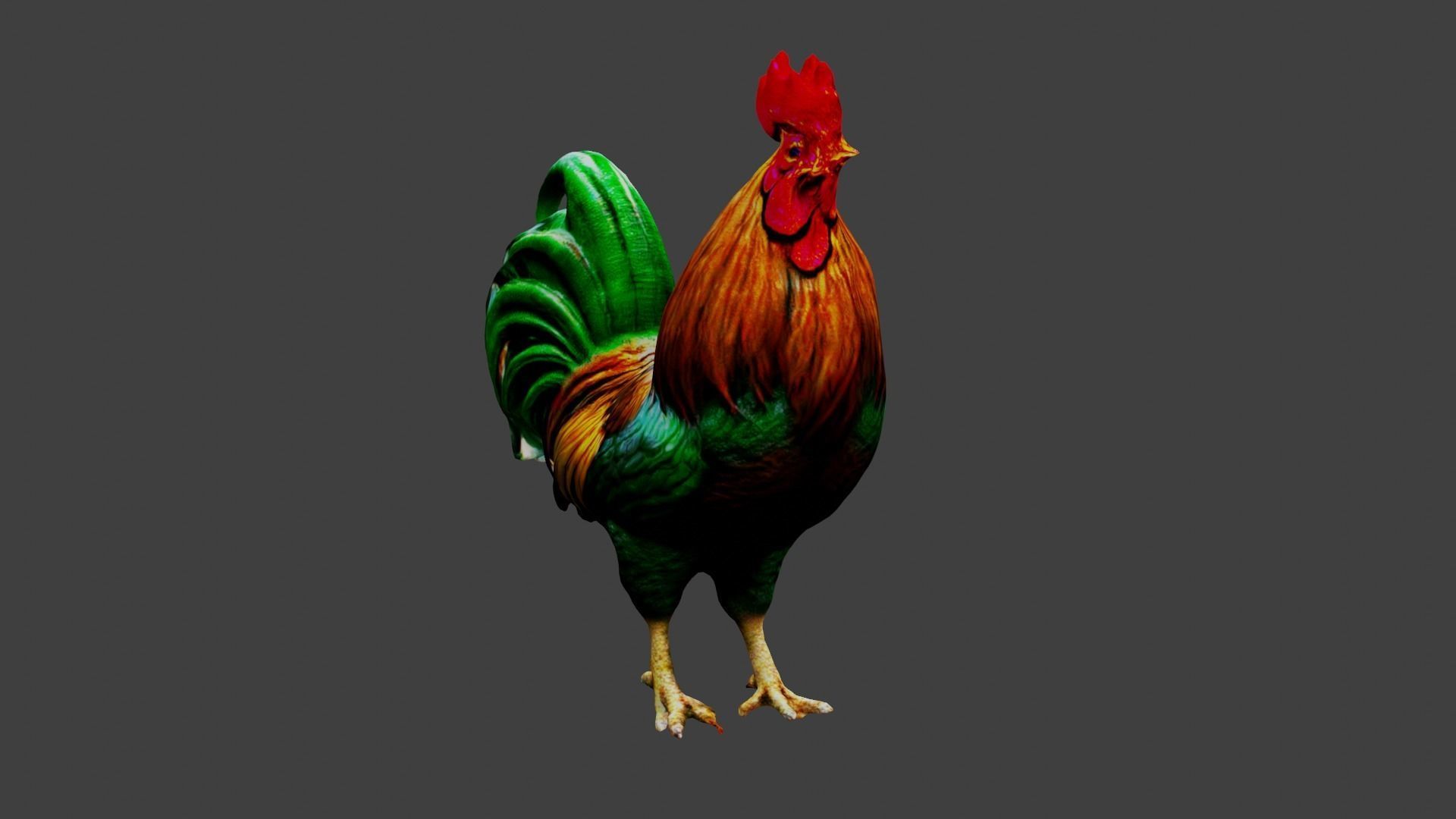 3D model Cockerel Rooster Chicken VR / AR / low-poly | CGTrader