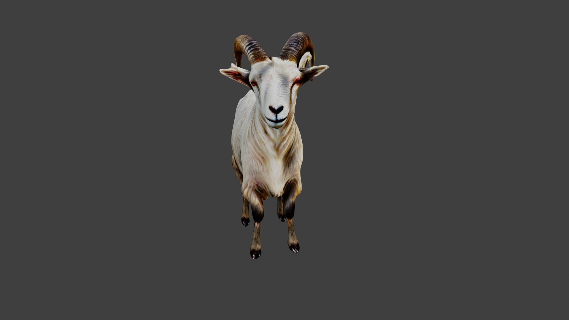 3D model Goat Animal VR / AR / low-poly | CGTrader
