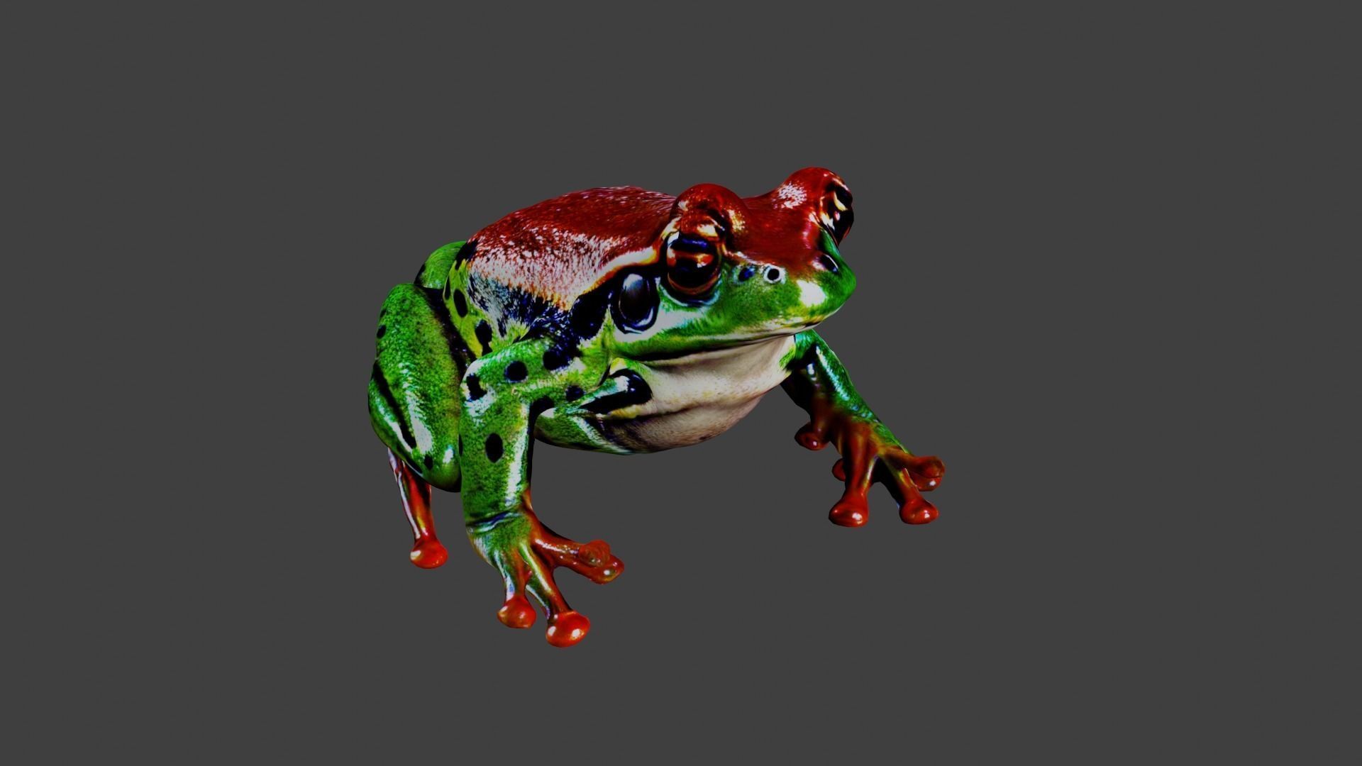 3D model Frog Animal VR / AR / low-poly | CGTrader