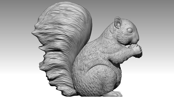 squirrel 3D model 3D printable | CGTrader