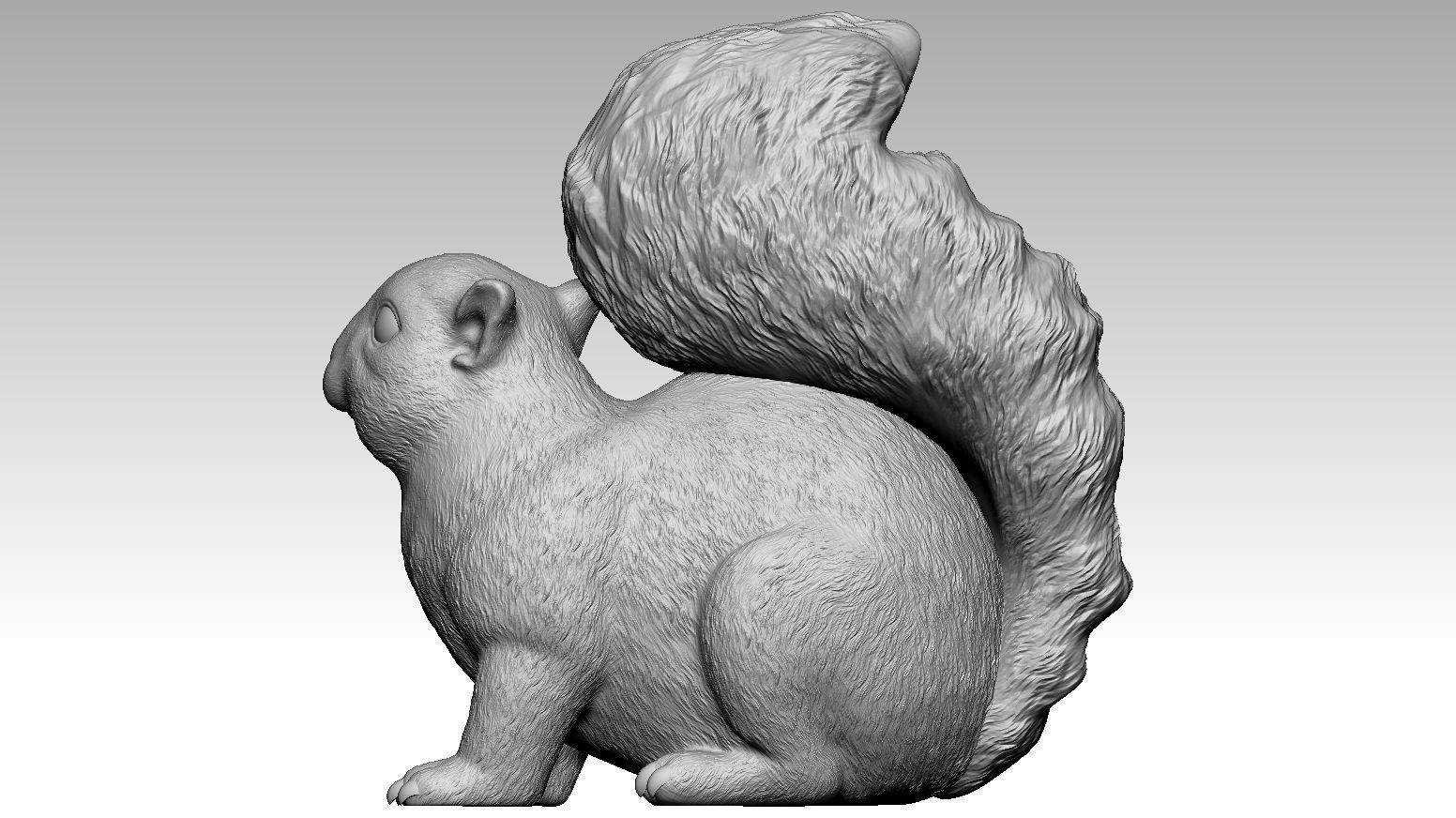 squirrel 3D model 3D printable | CGTrader