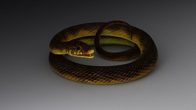 Snake Rig 3D model animated rigged | CGTrader