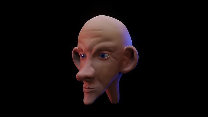 Cartoon Head Sculpt free 3D model | CGTrader