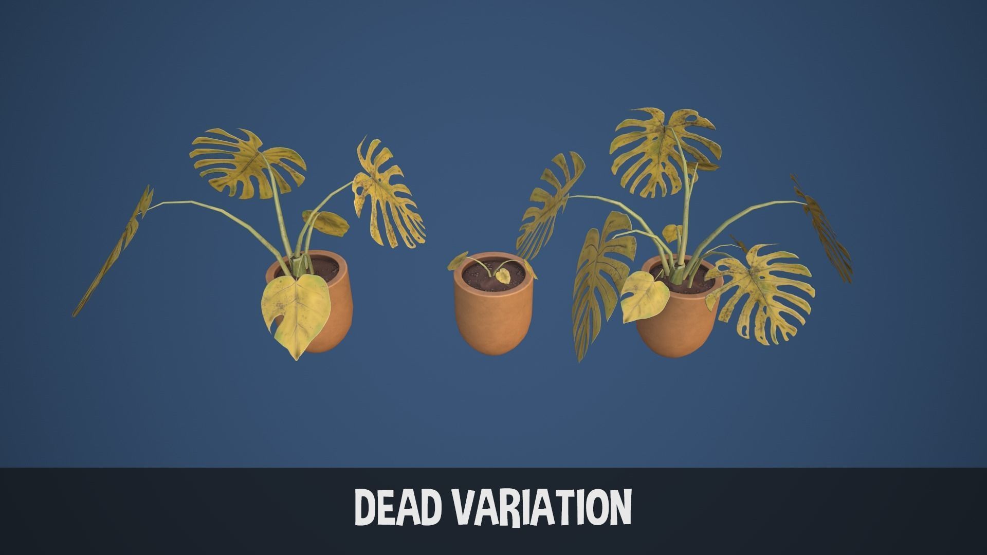 3D model Stylized Monstera Swiss Cheese Plant VR / AR / low-poly | CGTrader