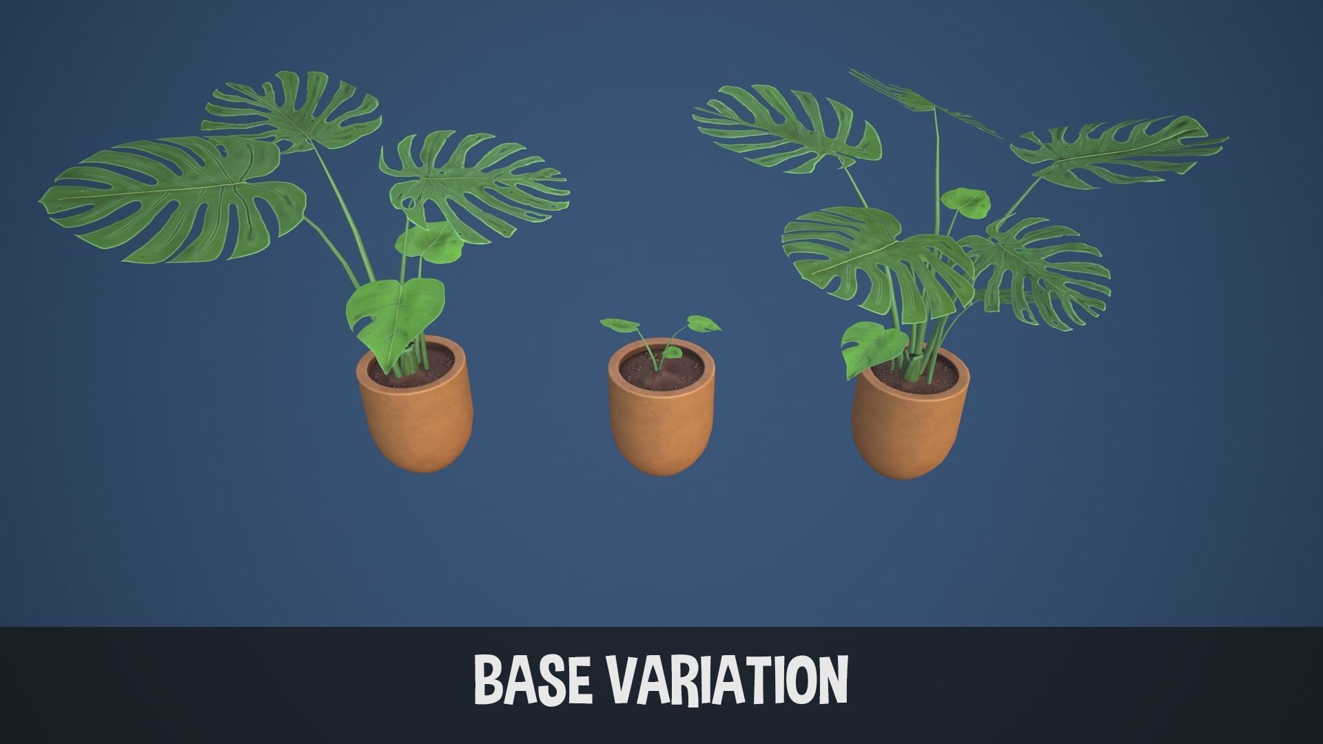 3D model Stylized Monstera Swiss Cheese Plant VR / AR / low-poly | CGTrader