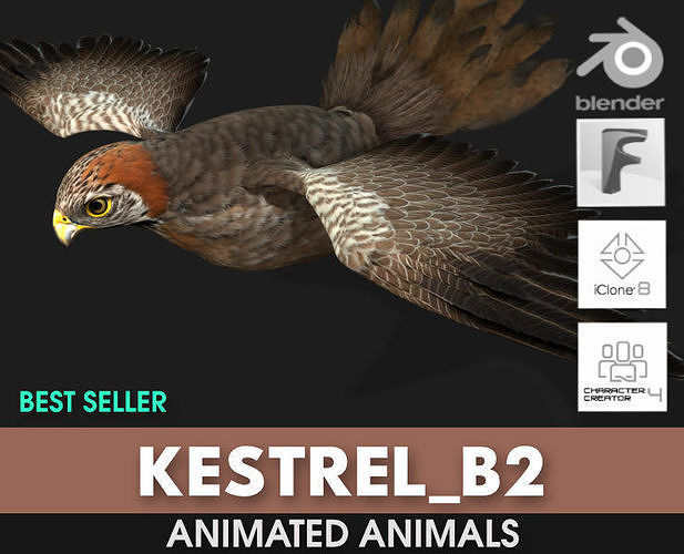 Kestrel B2 3D model animated rigged | CGTrader