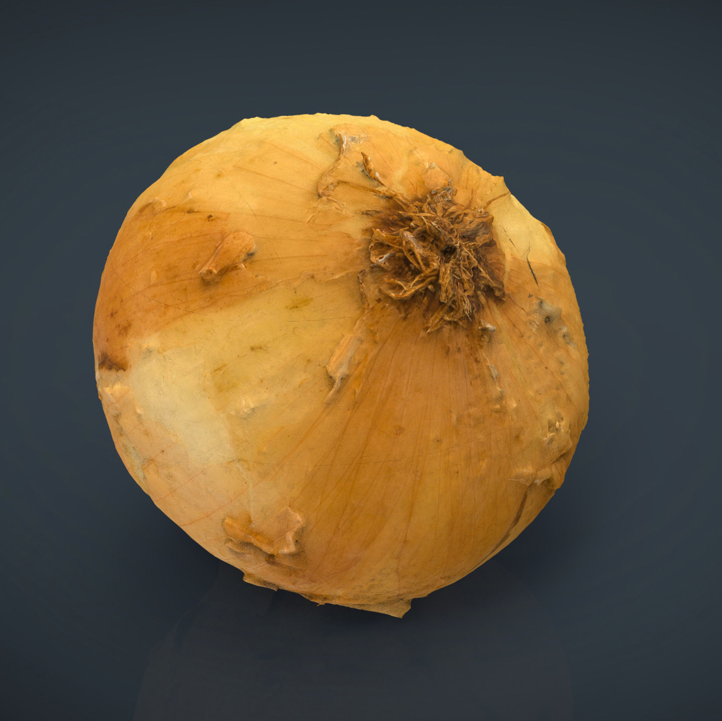 3D model Onion VR / AR / low-poly | CGTrader