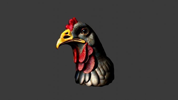 3D model Chicken Animal Head VR / AR / low-poly | CGTrader