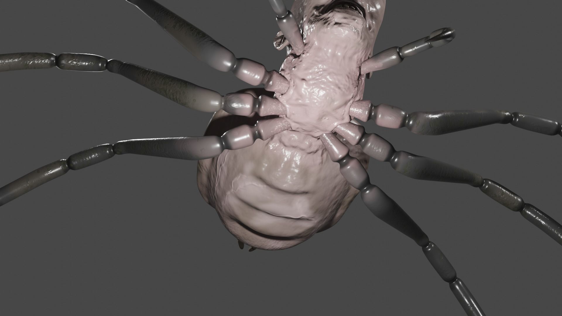 monster-spider head free VR / AR / low-poly 3D model animated rigged ...