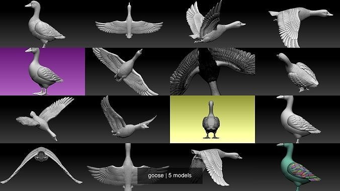 goose 3D Model Collection 3D printable | CGTrader