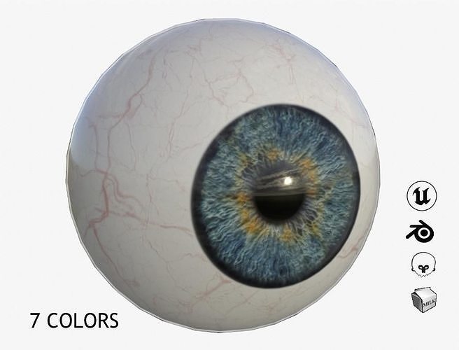 3D model Human Eye VR / AR / low-poly | CGTrader