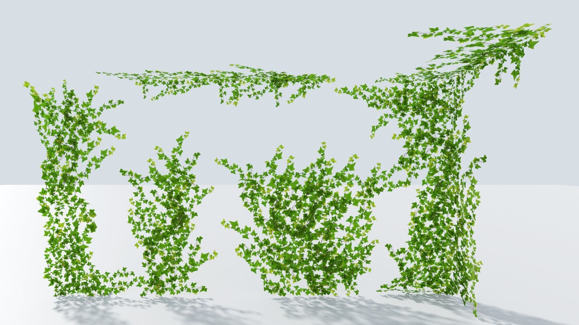 3D model LowPoly Ivy VR / AR / low-poly | CGTrader