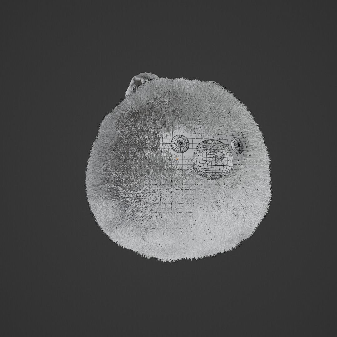 3D model Pomeranian Boo Cute Plush Toy 3D Low-Poly Model VR / AR / low ...