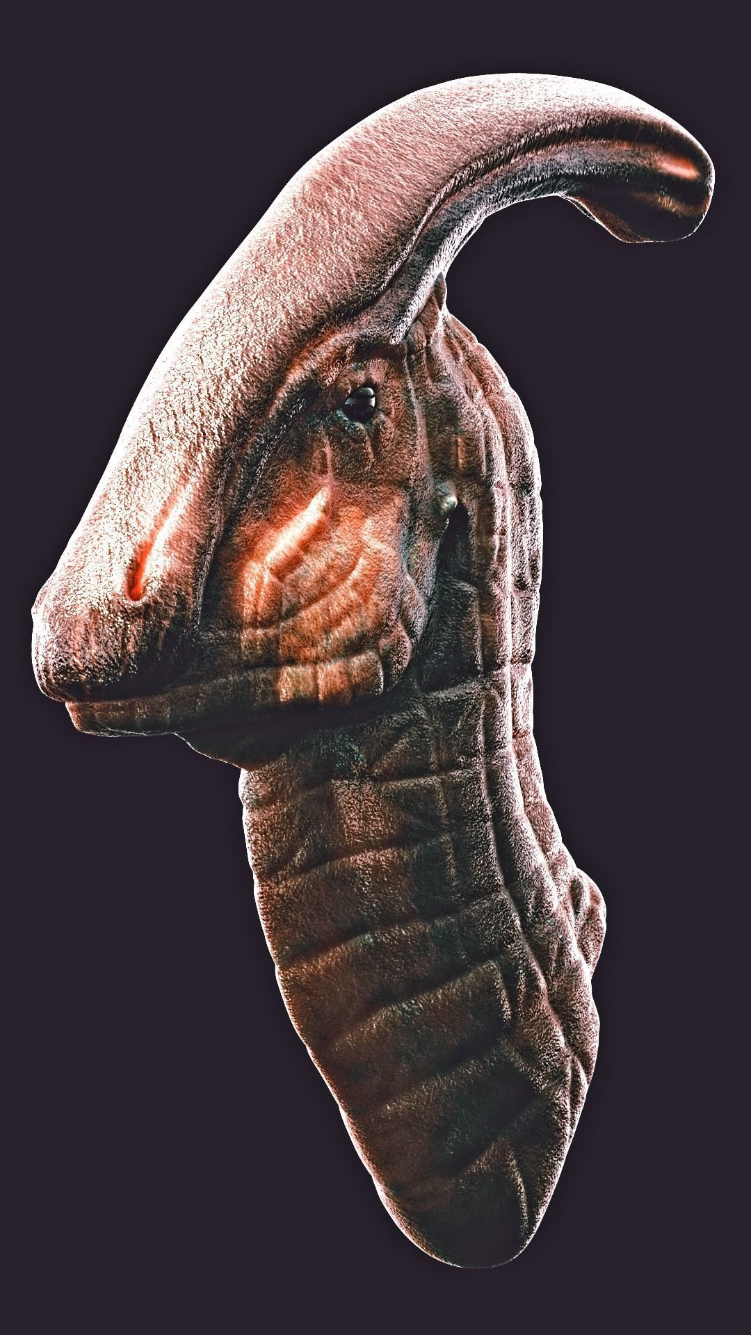 dinosaur parasaurolophus head free 3D model | CGTrader
