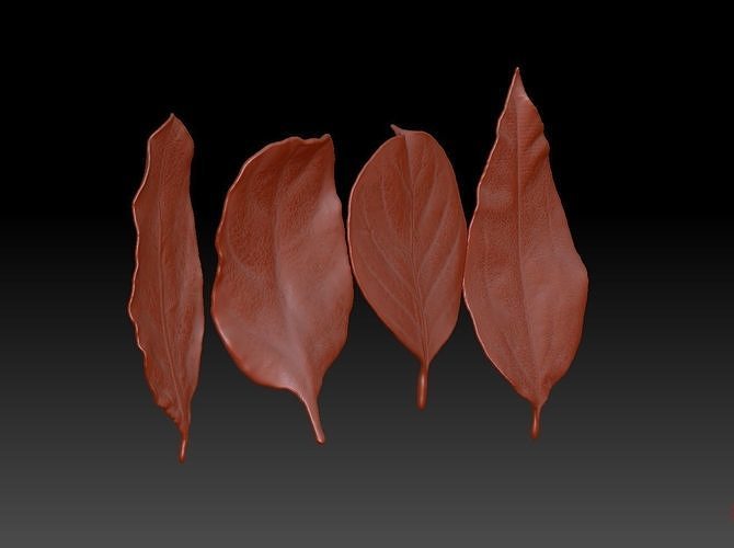 Leaf 3D leaf sculpture map 3D printed leaves 3D model 3D printable ...