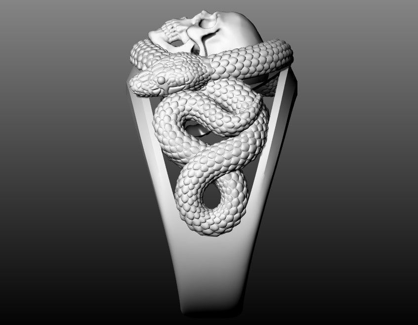 Skull And Snakes Ring A Symbol of Intrigue and Mystery 3D model 3D ...