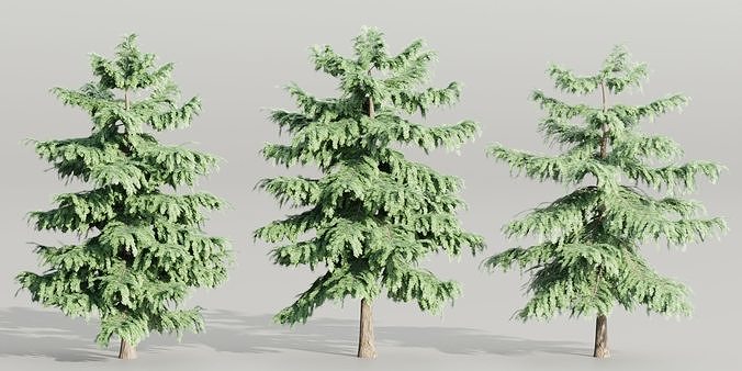 Pine trees collection vol 107-Blender 3D model | CGTrader