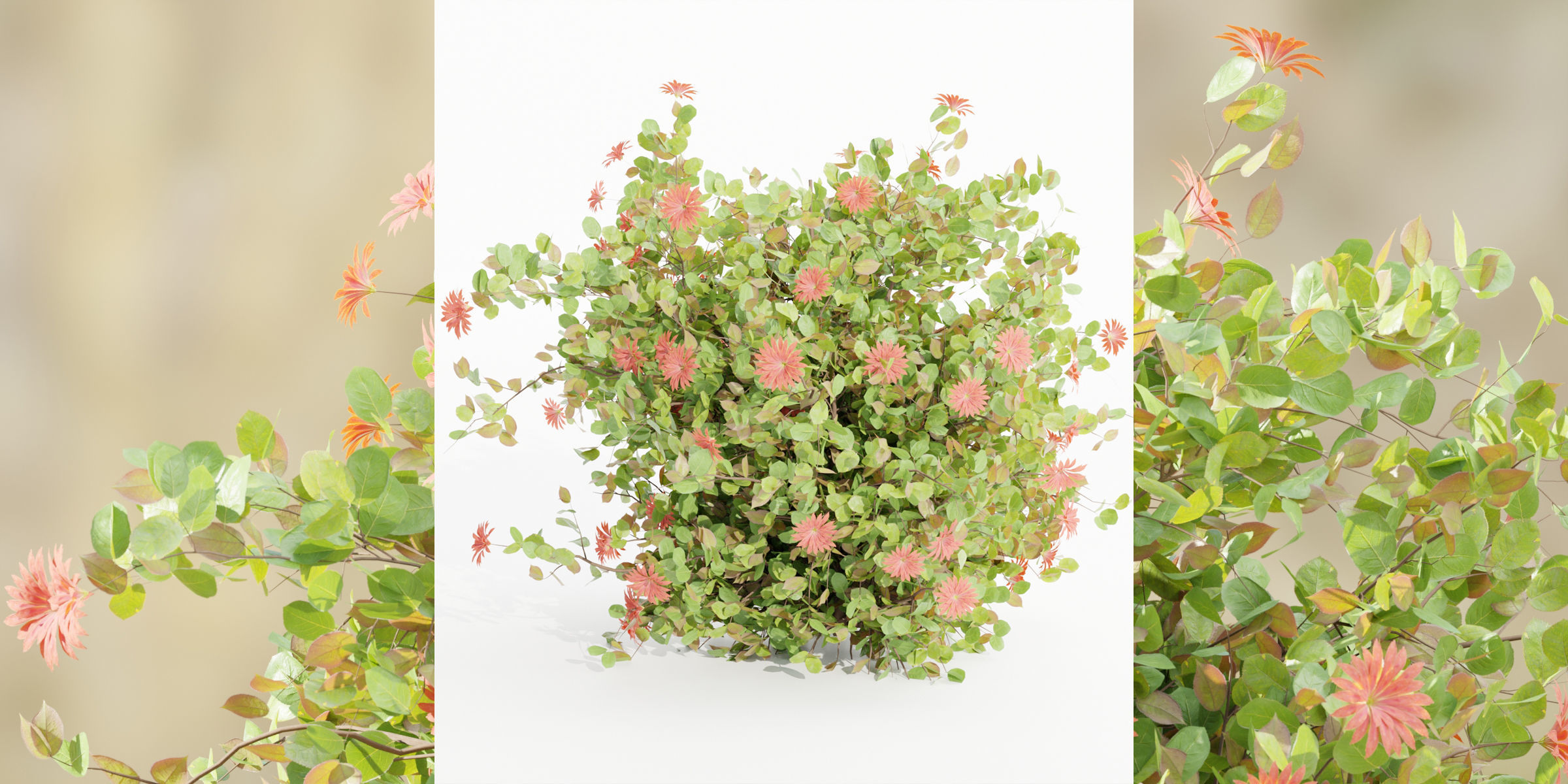 Flowering Bushes collection vol 108-Blender 3D model | CGTrader