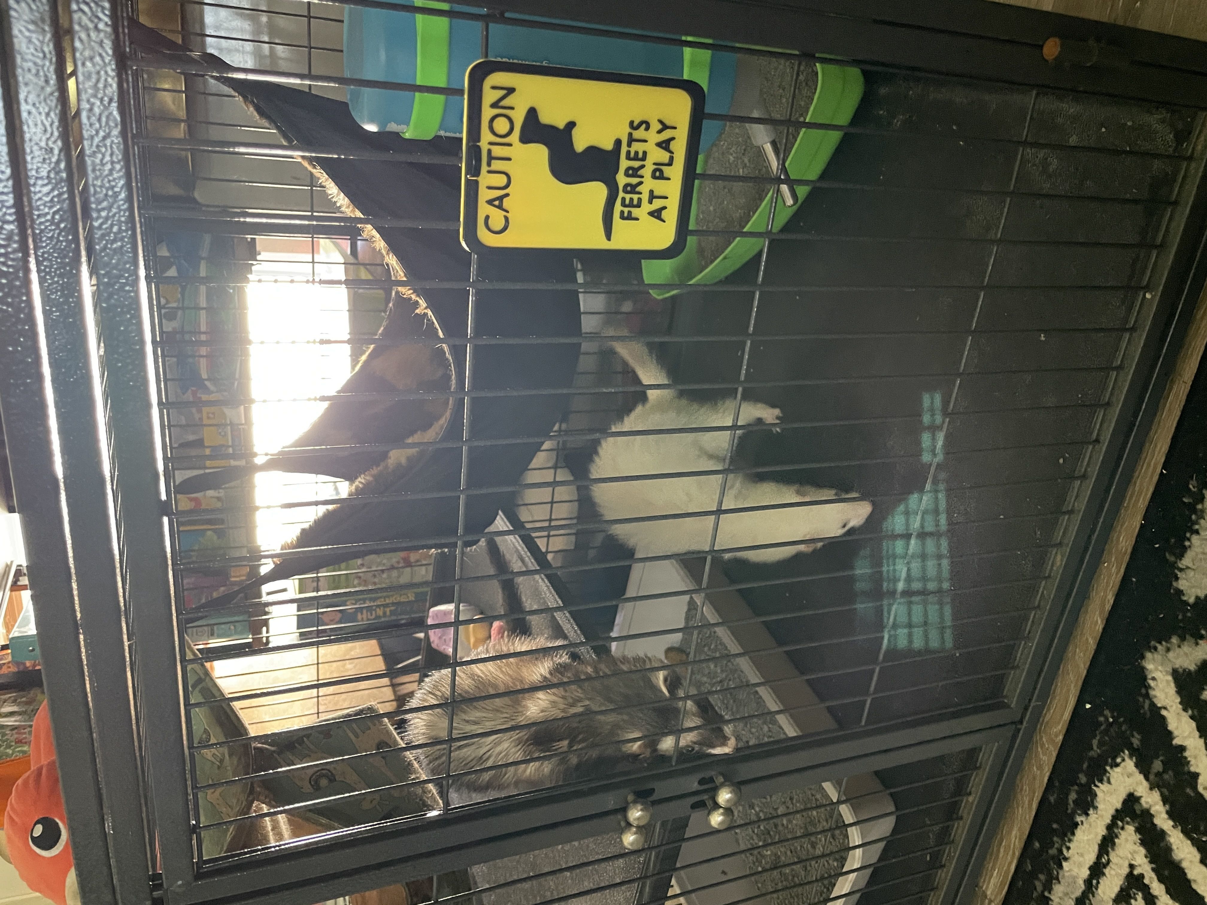 Ferrets At Play Sign 3D model 3D printable | CGTrader