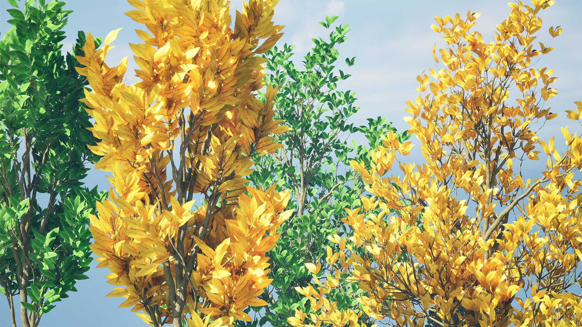 3D model Fall and green Foliage Saplings trees 3d pack VR / AR / low ...