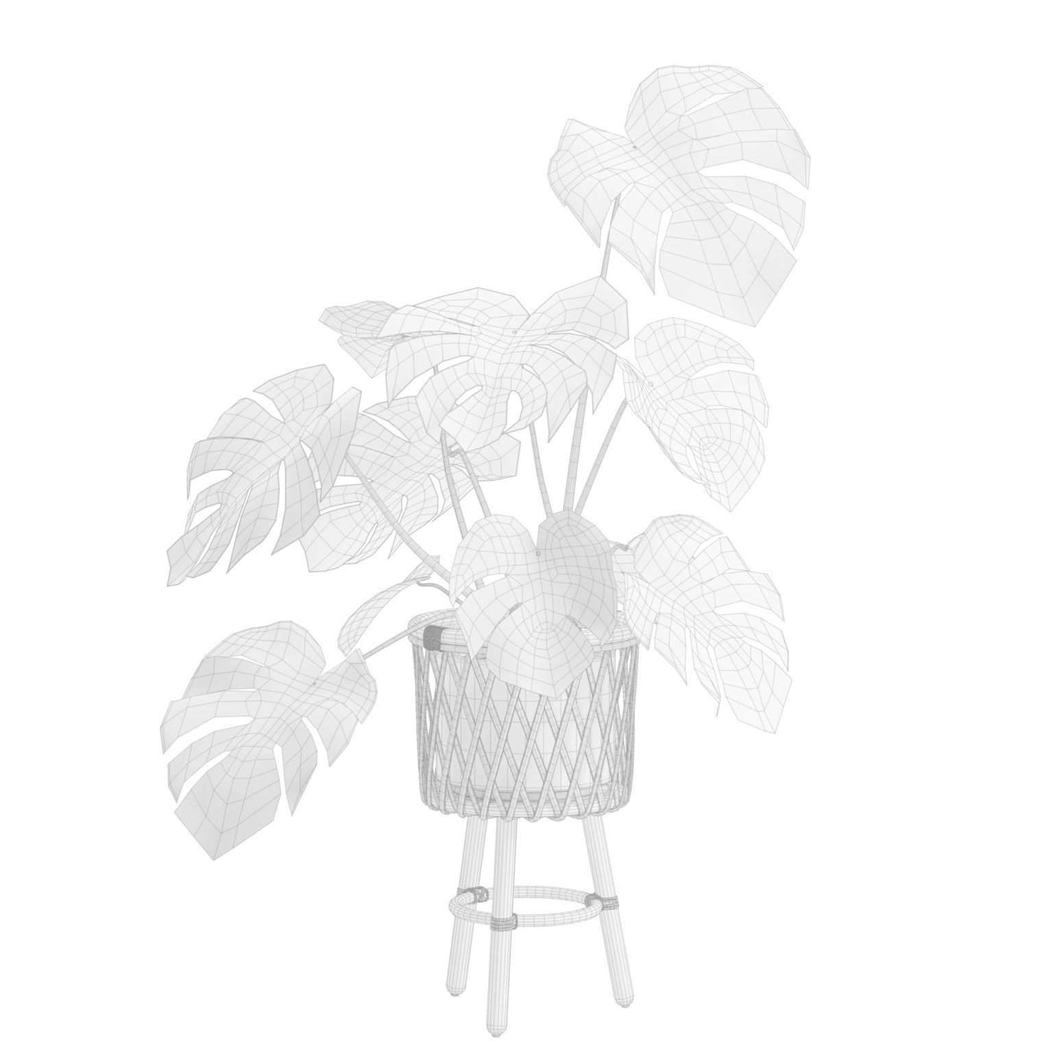 Bamboo Stand Plant Monstera Deliciosa 3D model | CGTrader