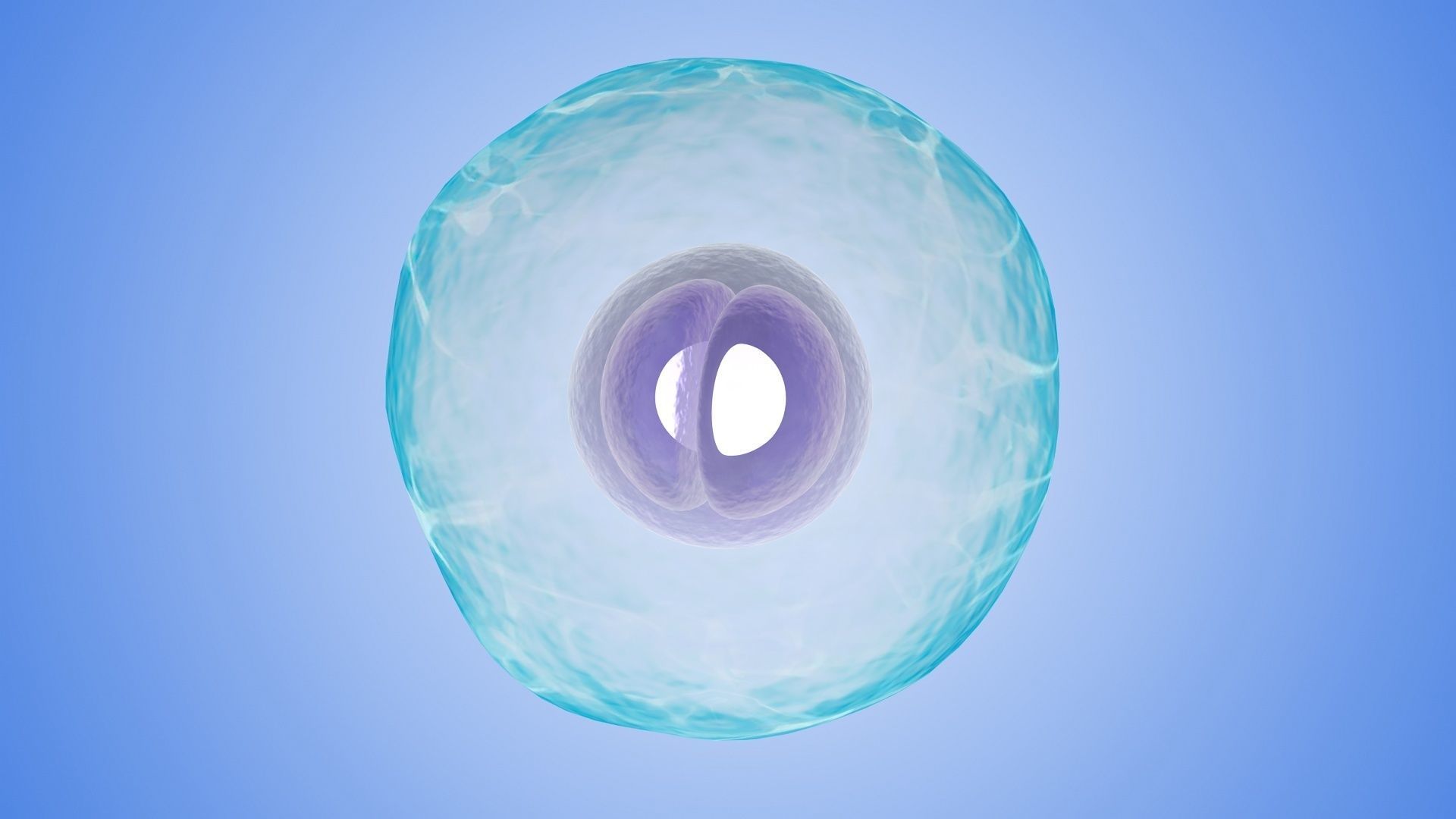 protein enzyme DNA biology disease microscope microscopic 3D model ...