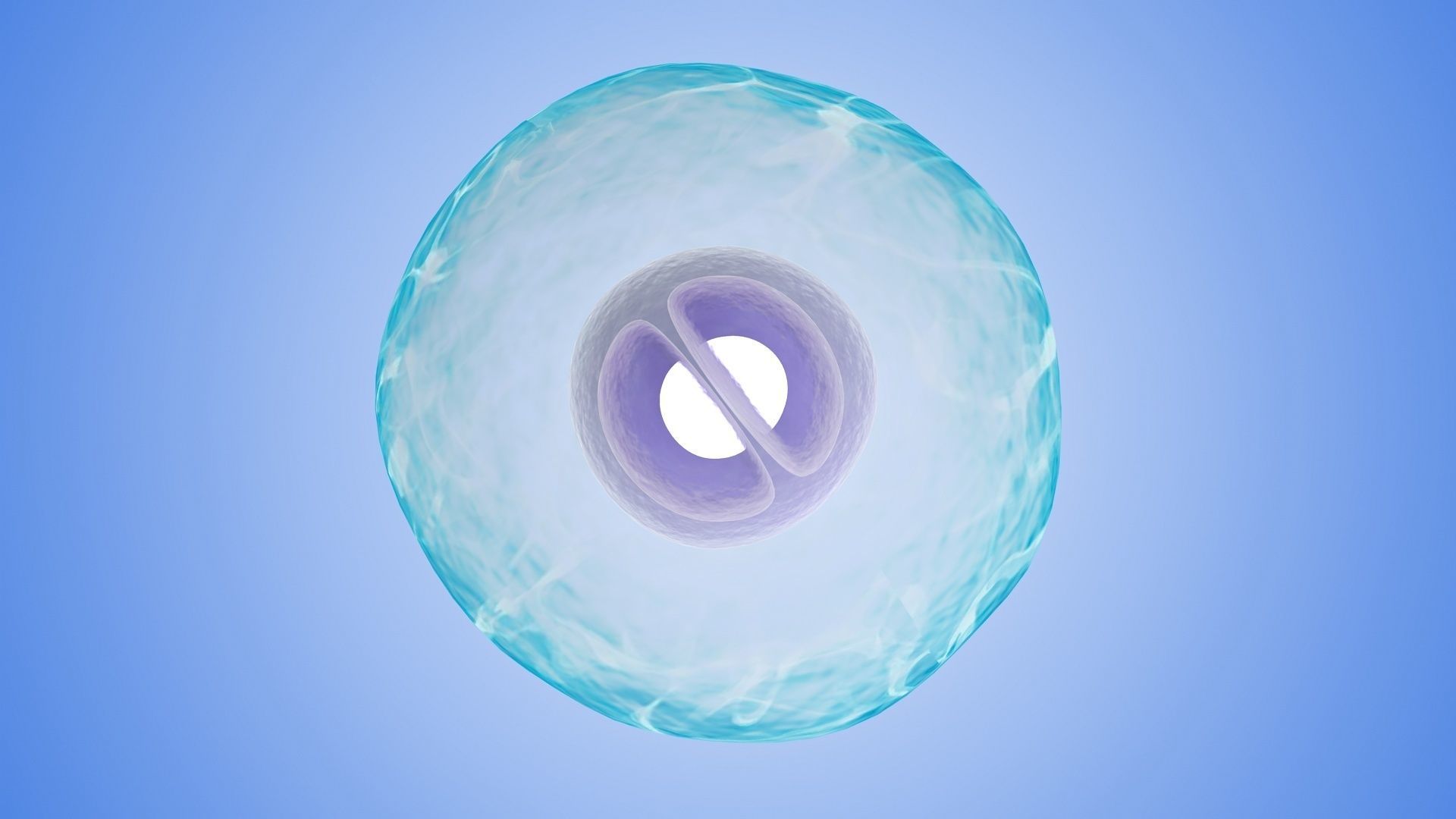 protein enzyme DNA biology disease microscope microscopic 3D model ...