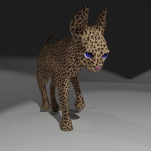 Cat Evolution free 3D model rigged | CGTrader