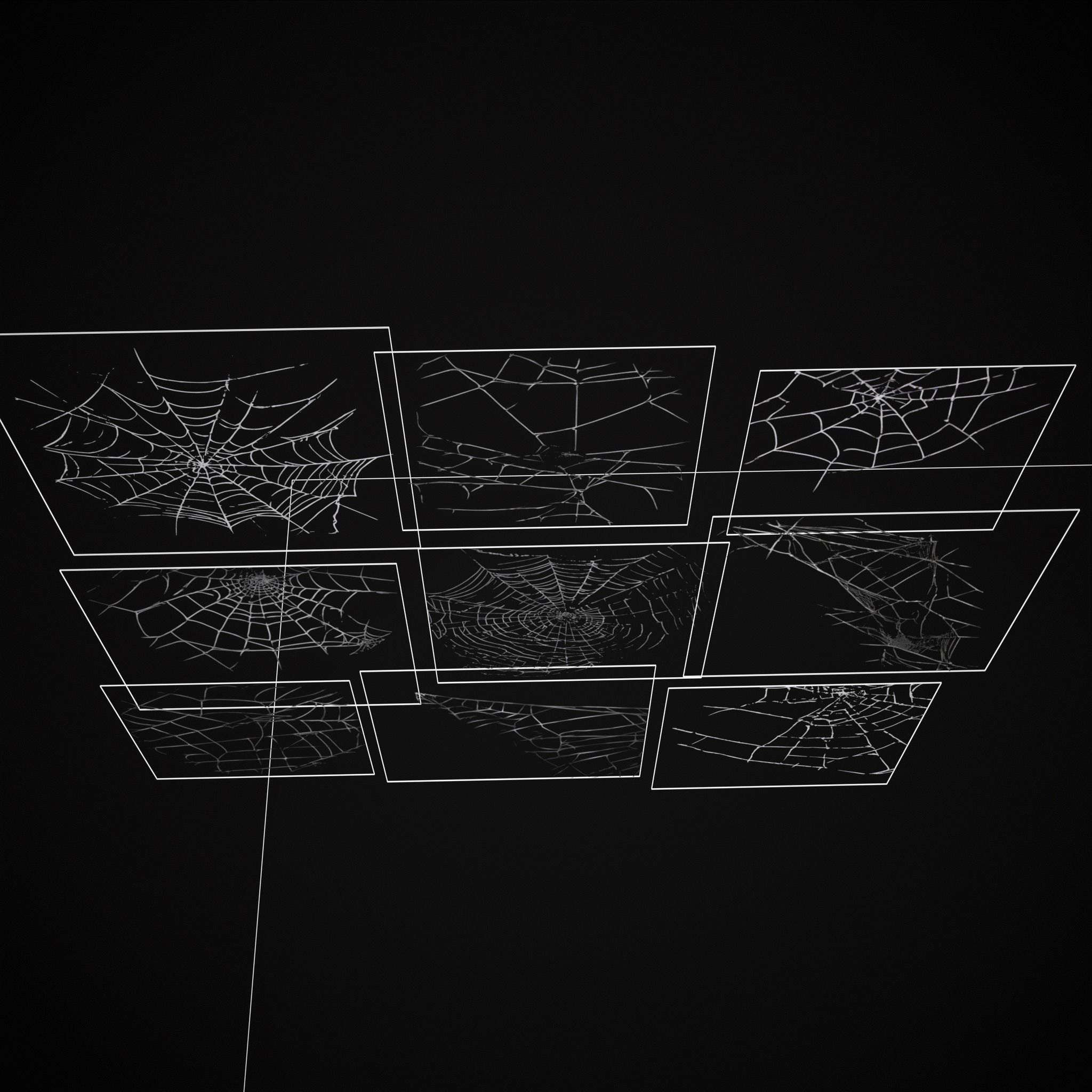 3D model Spider Webs Pack Two VR / AR / low-poly | CGTrader