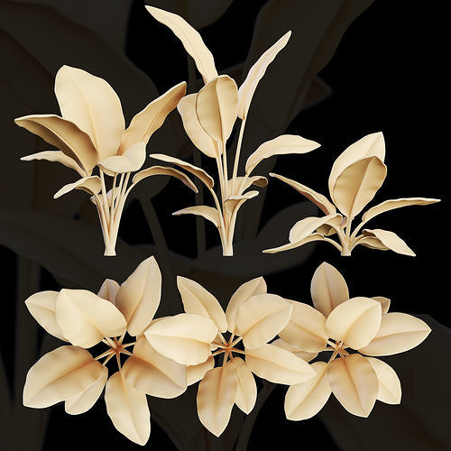 3dprint Plant 01 Strelitzia 3D model 3D printable | CGTrader