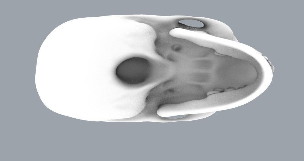 FULL 3D SCULL 3D model 3D printable | CGTrader