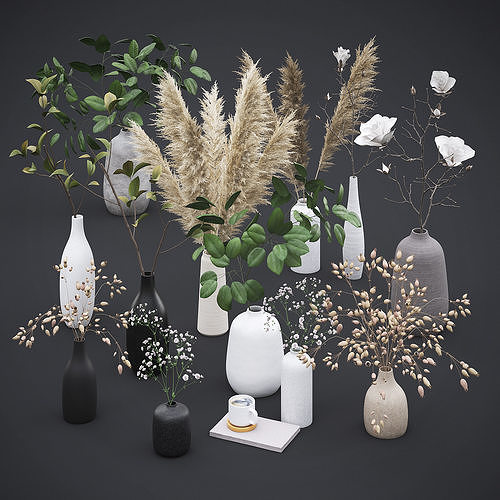 Dry Plants and Flowers Pack 3D Model Collection | CGTrader