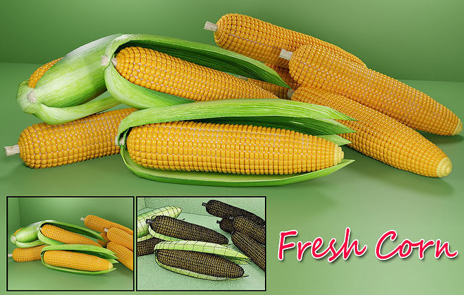 3D model Photorealistic Fresh corn VR / AR / low-poly | CGTrader
