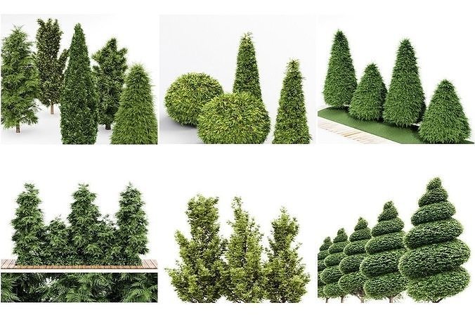 6 Different SETS of Tree Bush SET VOL101 3D Model Collection | CGTrader
