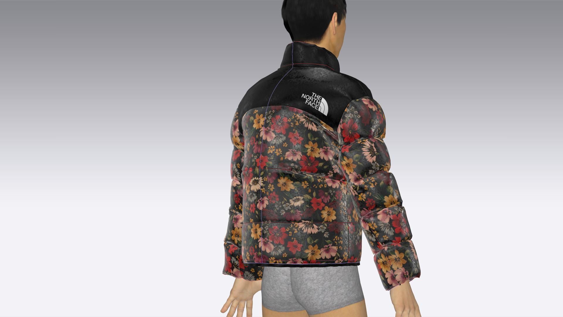 3 Jackets Supreme x TNF 3D model | CGTrader