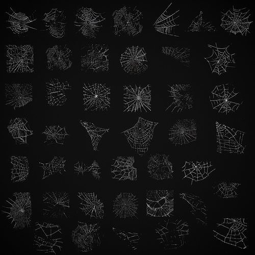 3D Model Collection Spider Webs Big Pack VR / AR / low-poly | CGTrader