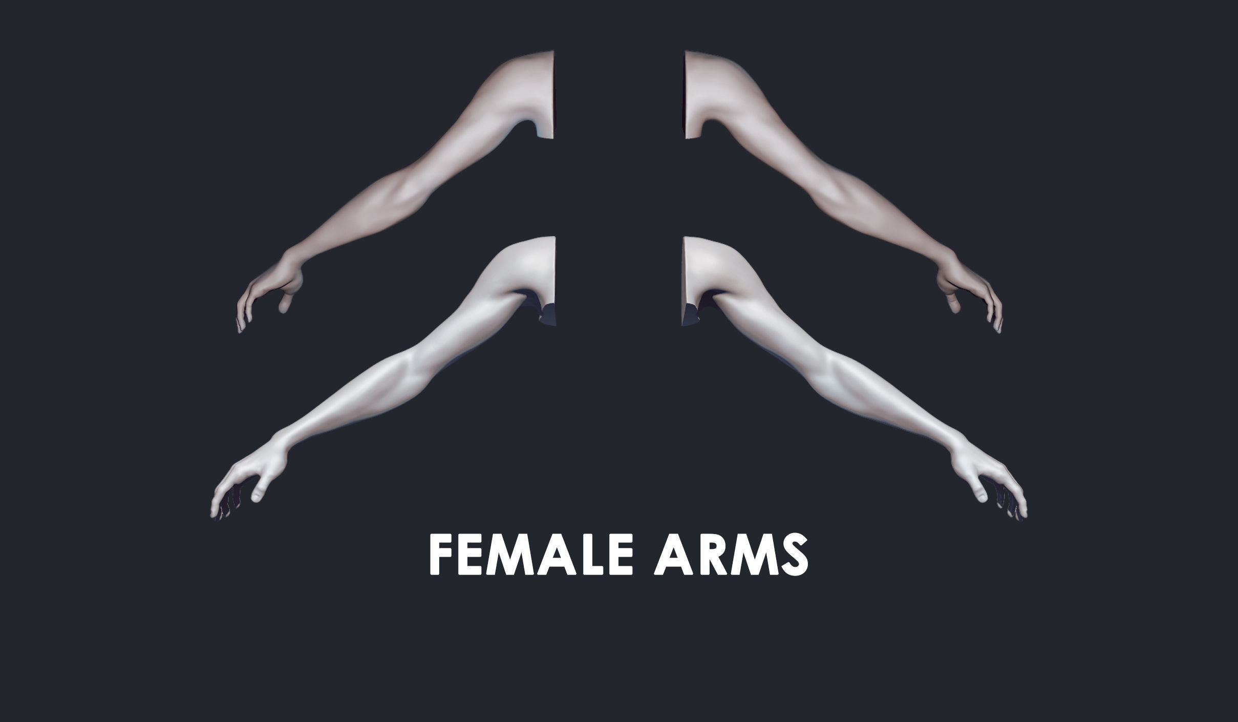 Female arms hands 3D model | CGTrader