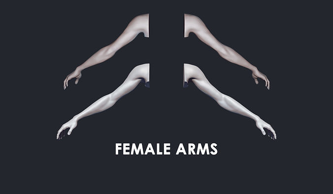 Female arms hands 3D model | CGTrader