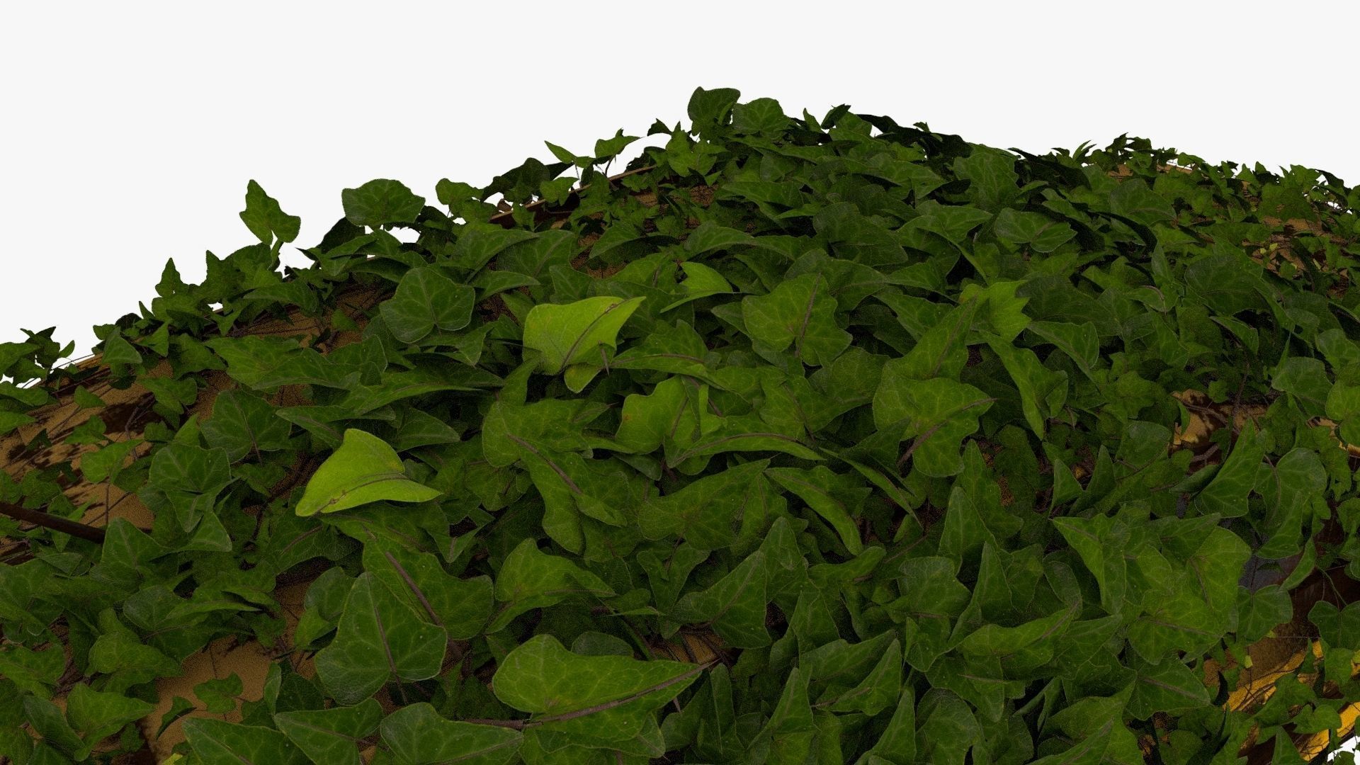 4K realistic low poly abandoned car with ivy 3D model | CGTrader