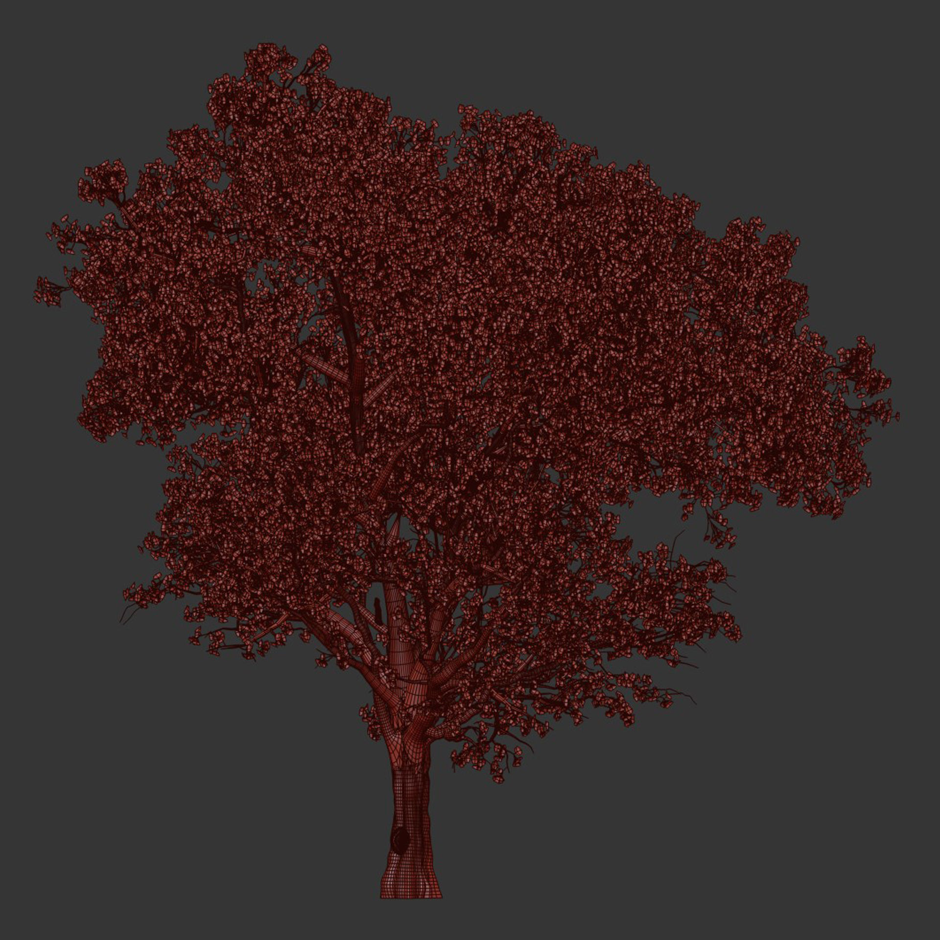 East Asian Cherry vol 239 3D model | CGTrader