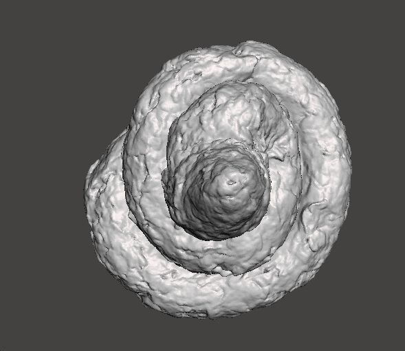 REAL POOP PLASTIC LIFESIZE MODEL FOR JOKES PRANK FRIENDS 3D model 3D ...