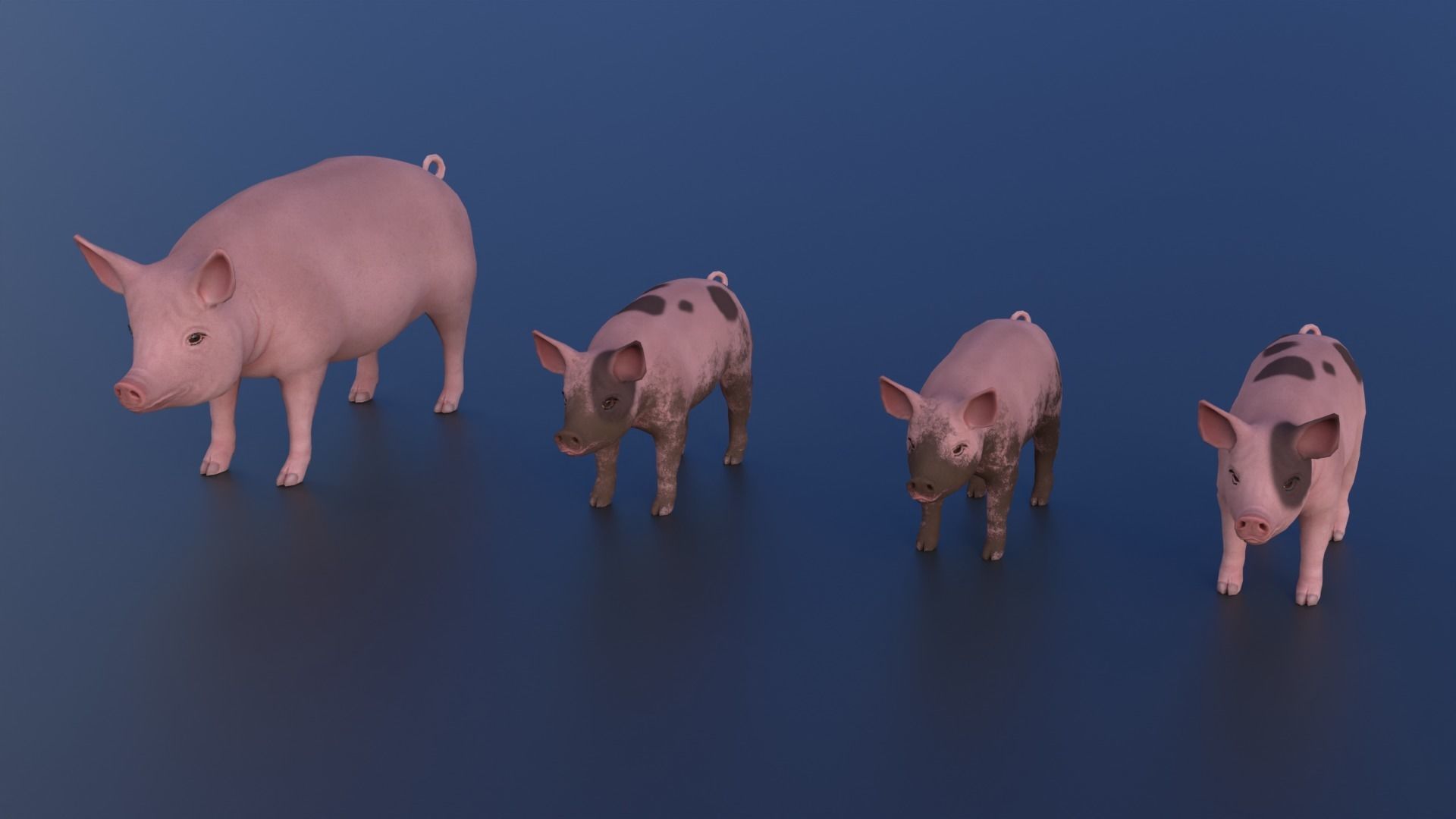 3D model Pig Collection 3D models VR / AR / low-poly | CGTrader
