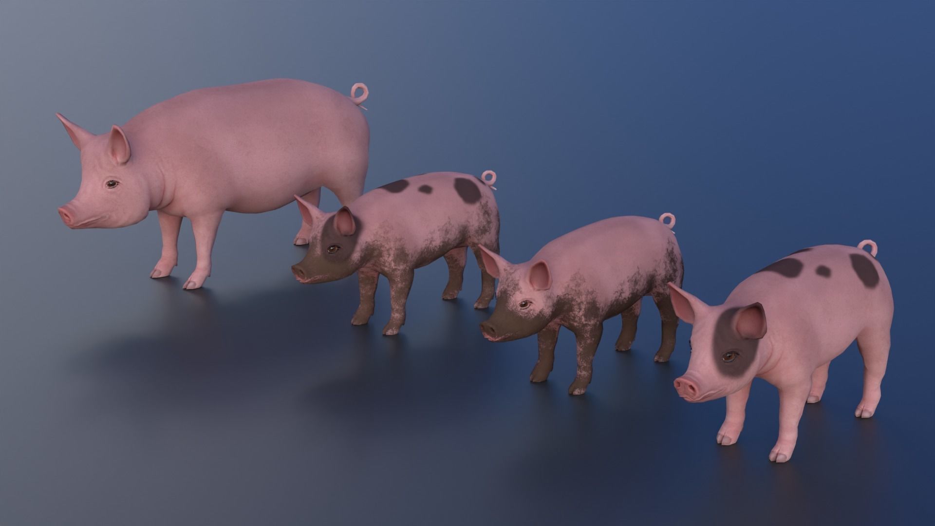 3D model Pig Collection 3D models VR / AR / low-poly | CGTrader