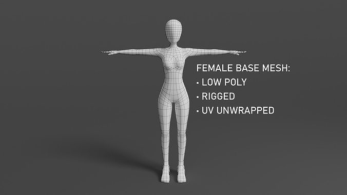 3D model Female Base Mesh - Rigged VR / AR / low-poly | CGTrader