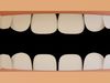 Cartoon Teeth 3D Model free 3D model animated rigged | CGTrader