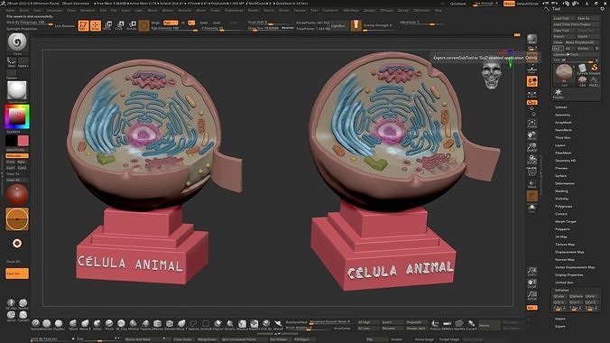 Celula Animal 3D model 3D printable | CGTrader